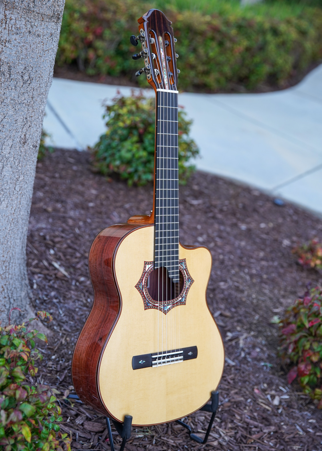 Paul Acoustic NG II - Edgar Devia